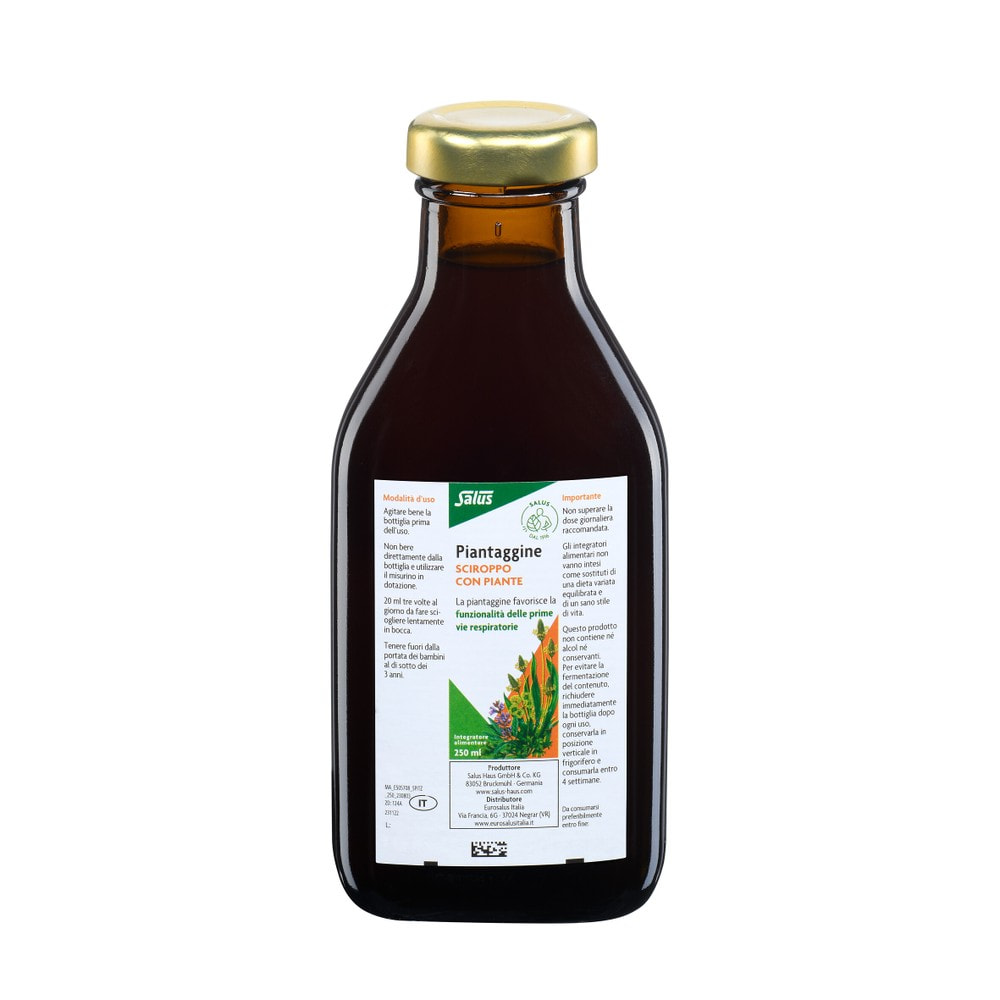 Plantain, Herbal Syrup - Salus Haus